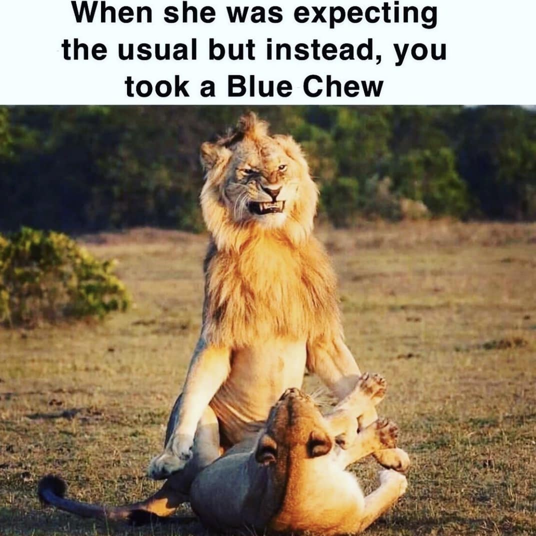 BlueChew Review - Must Read This Before Buying