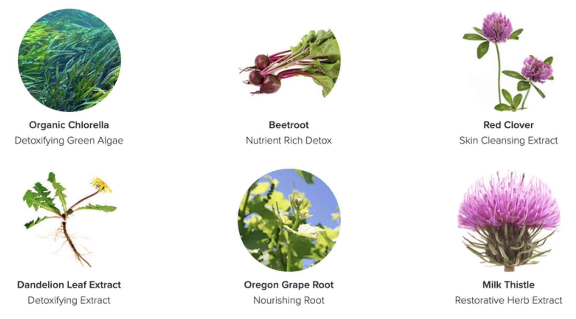 Hum Nutrition Review - Must Read This Before Buying