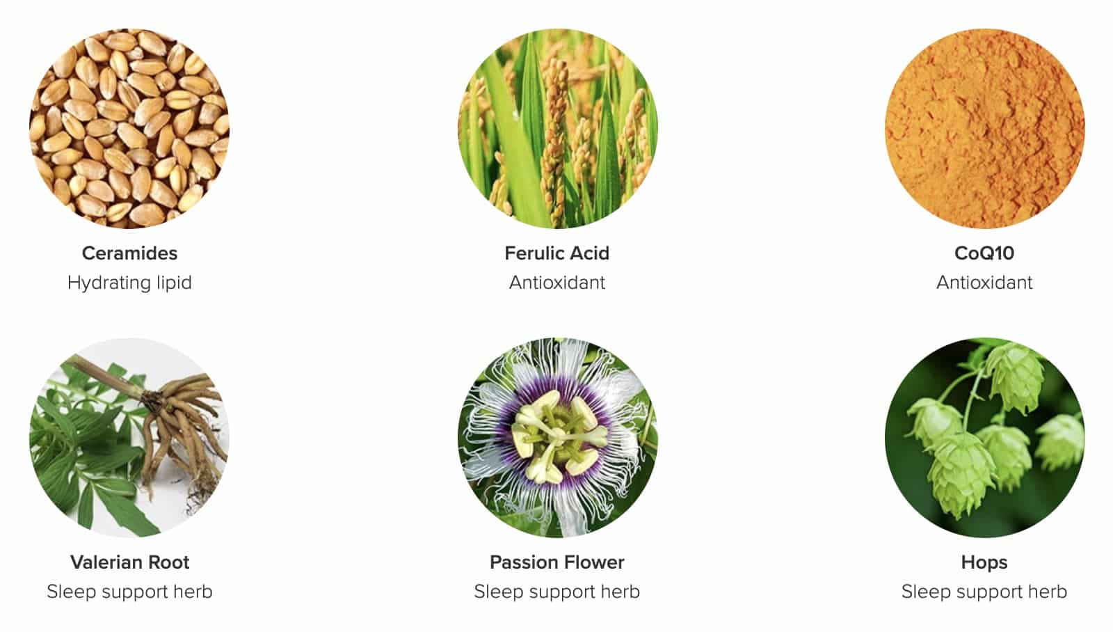 Hum Nutrition Review - Must Read This Before Buying