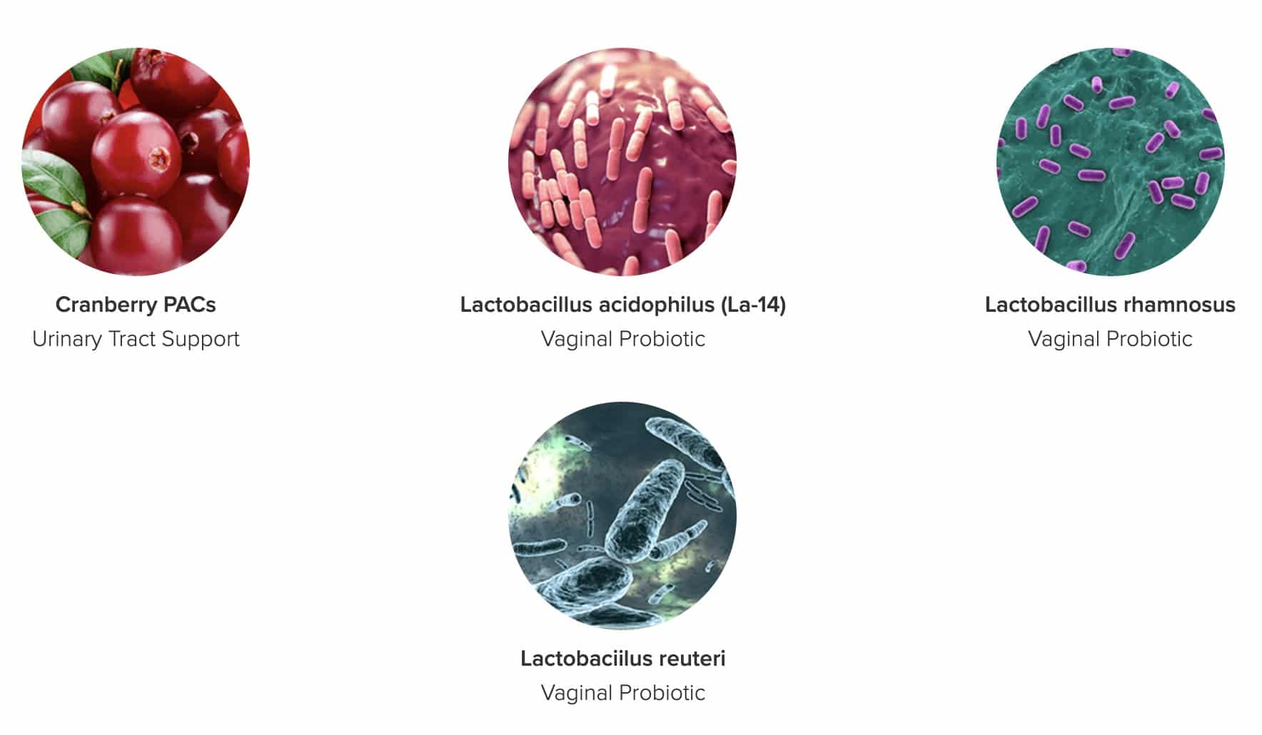 Hum Nutrition Review - Must Read This Before Buying