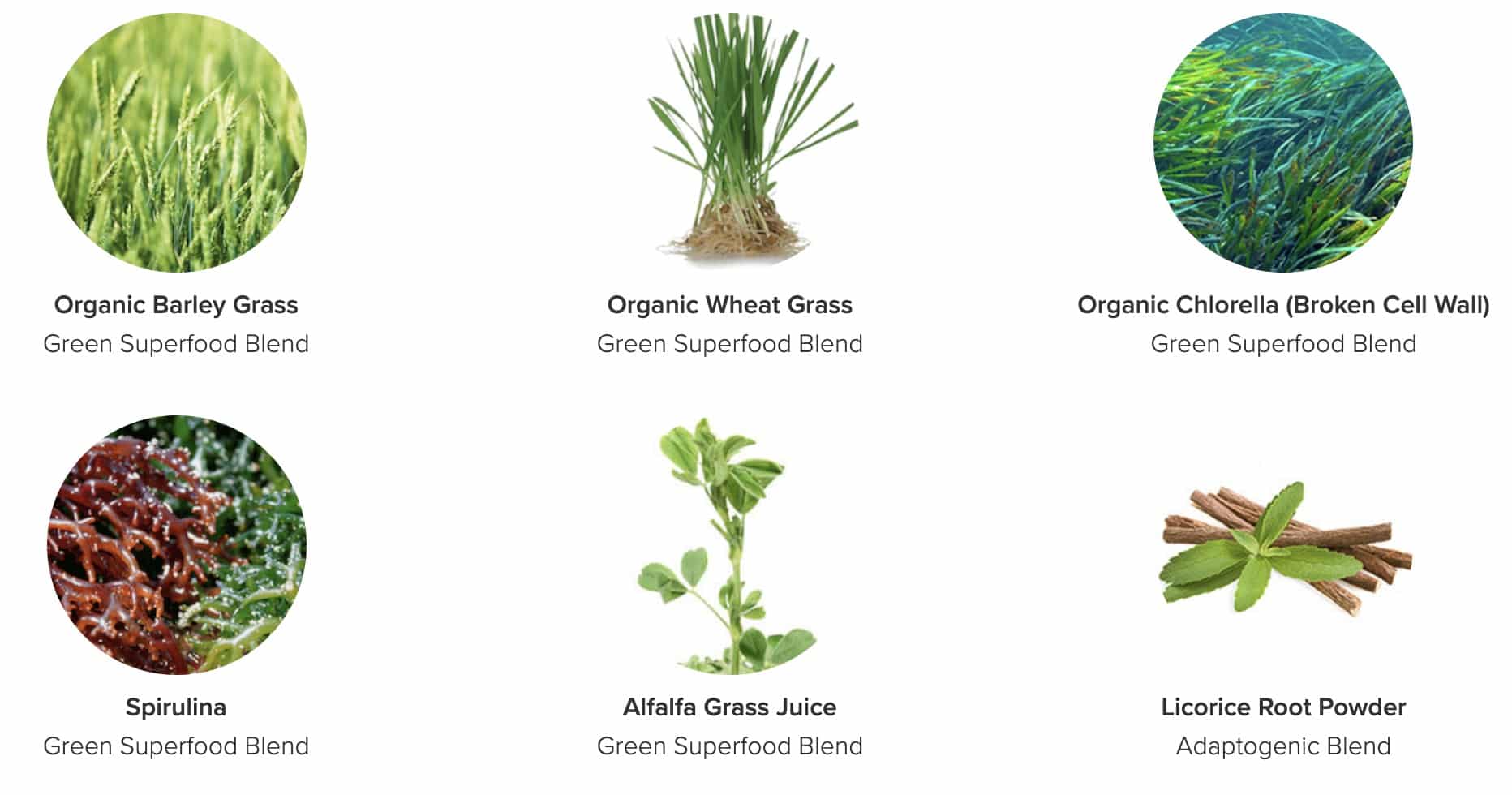 Hum Nutrition Review - Must Read This Before Buying