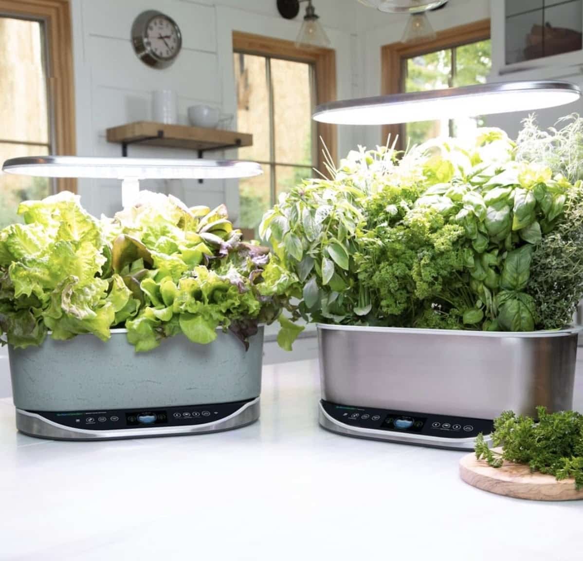 AeroGarden Pods Review - Must Read This Before Buying