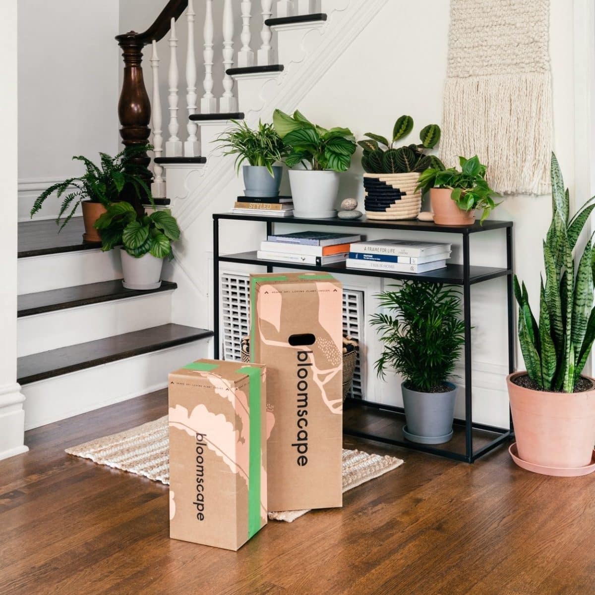 Bloomscape Plants Review - Must Read This Before Buying