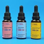 Bluebird Botanicals CBD Review - Must Read This Before Buying