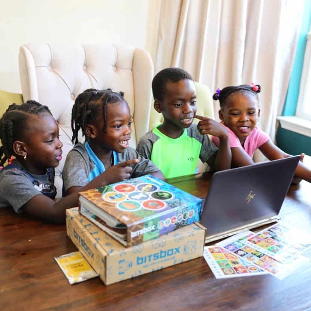 Bitsbox Review - Must Read This Before Buying