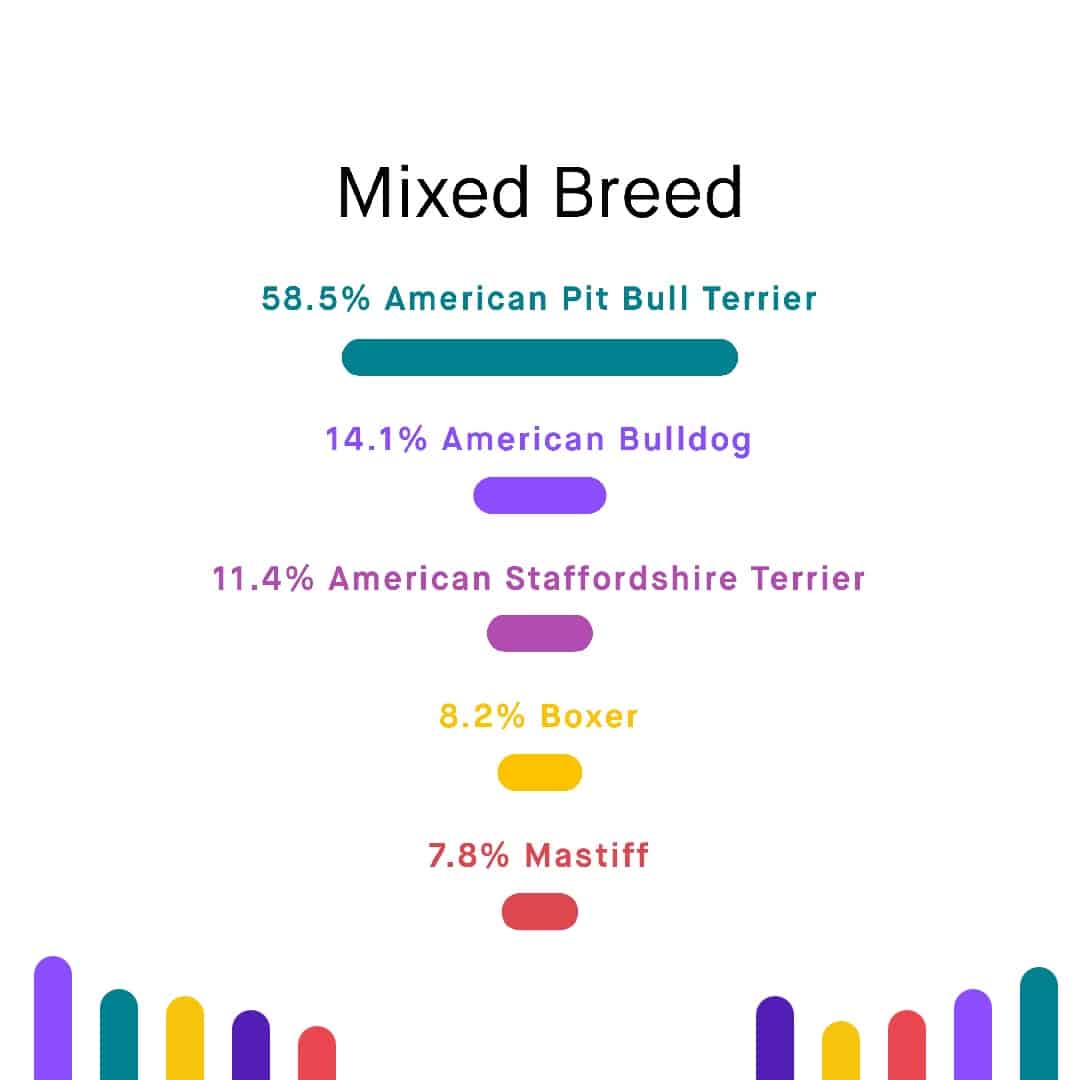 Embark Dog DNA Test Review - Must Read This Before Buying