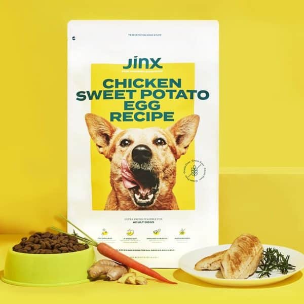 Jinx Dog Food Review - Must Read This Before Buying