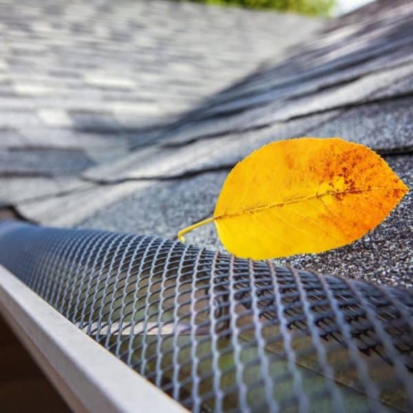 Leaf Filter Gutter Guards Review - Must Read This Before Buying