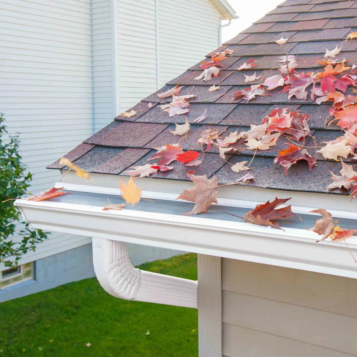 Leaf Filter Gutter Guards Review - Must Read This Before Buying