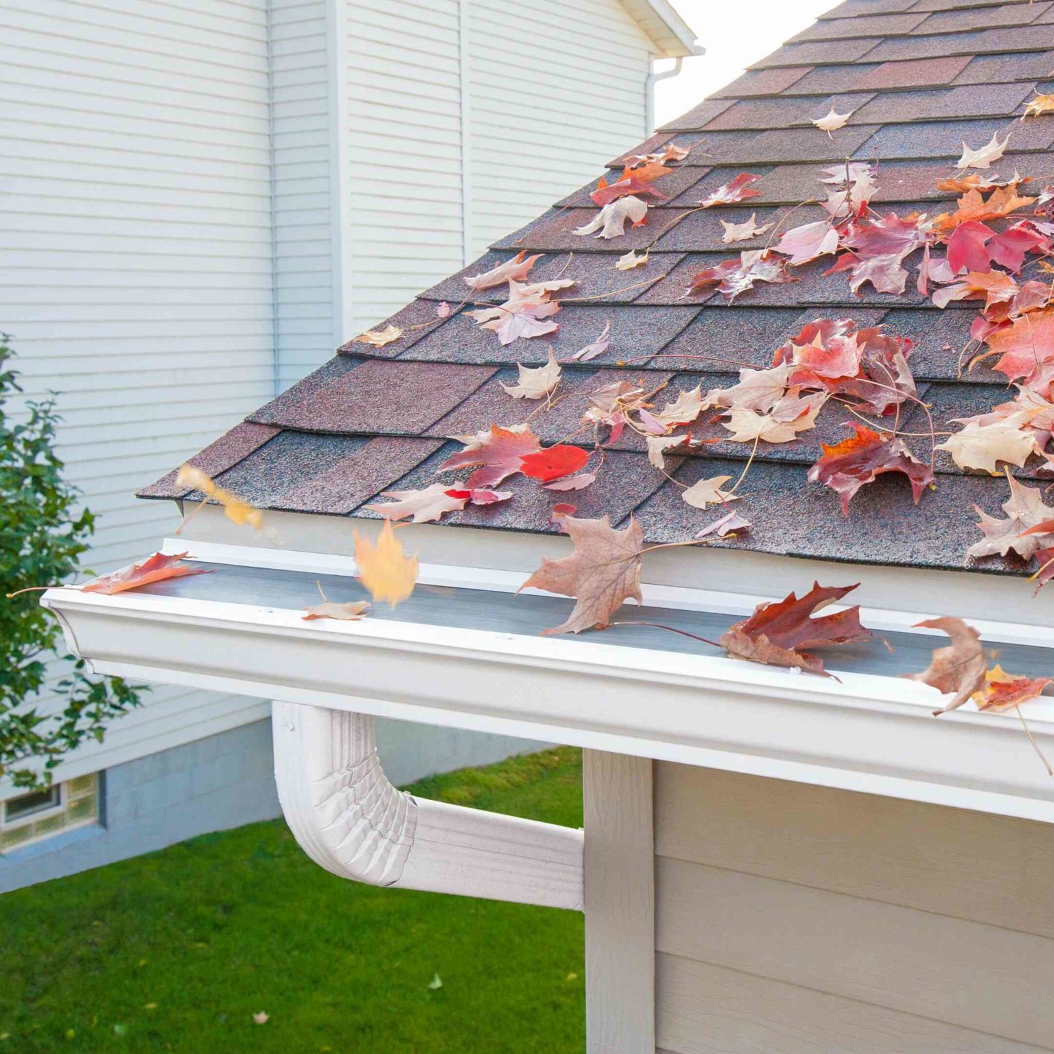 Leaf Filter Gutter Guards Review - Must Read This Before Buying