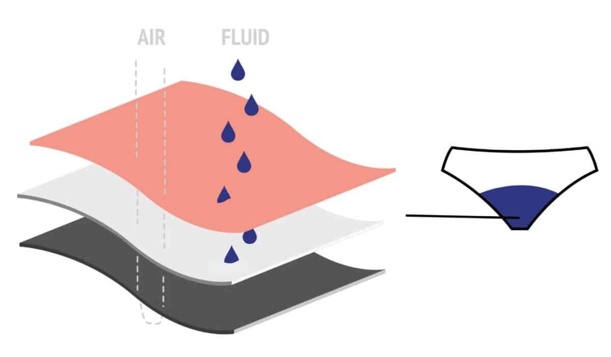 Modibodi Underwear Review - Must Read This Before Buying