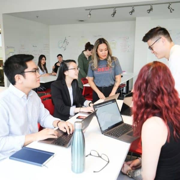 RED Academy Review - Must Read This Before Buying