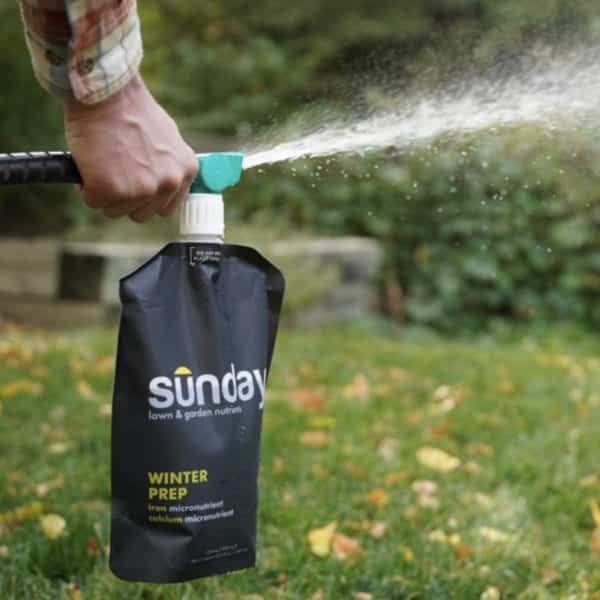 Sunday Lawn Care Review - Must Read This Before Buying