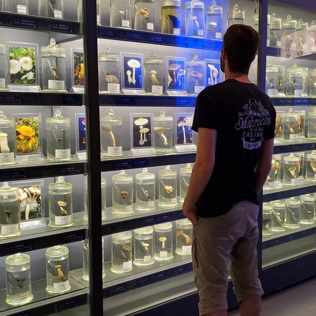 FreshCap Mushroom Review - Must Read This Before Buying