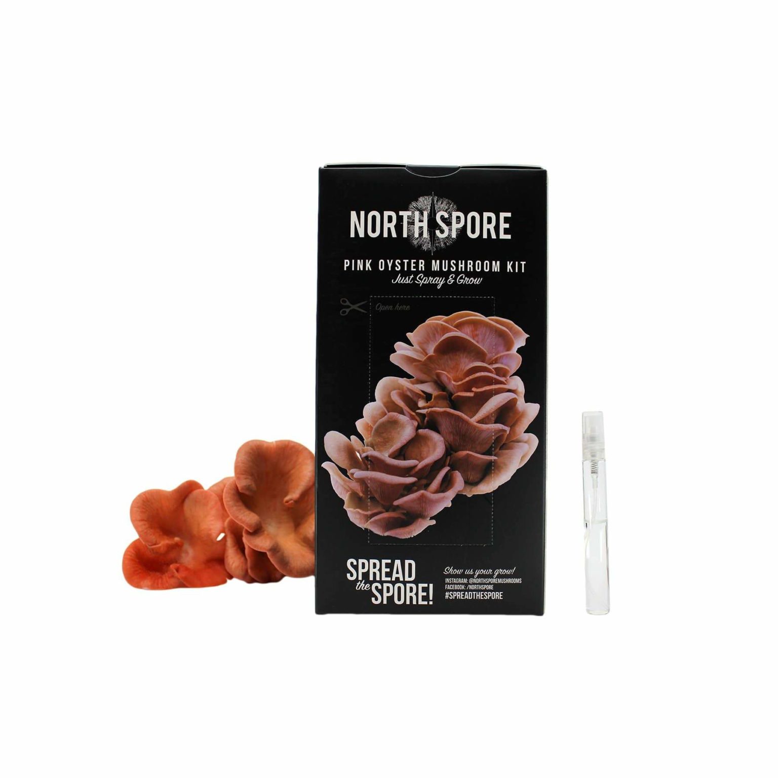 North Spore Review - Must Read This Before Buying