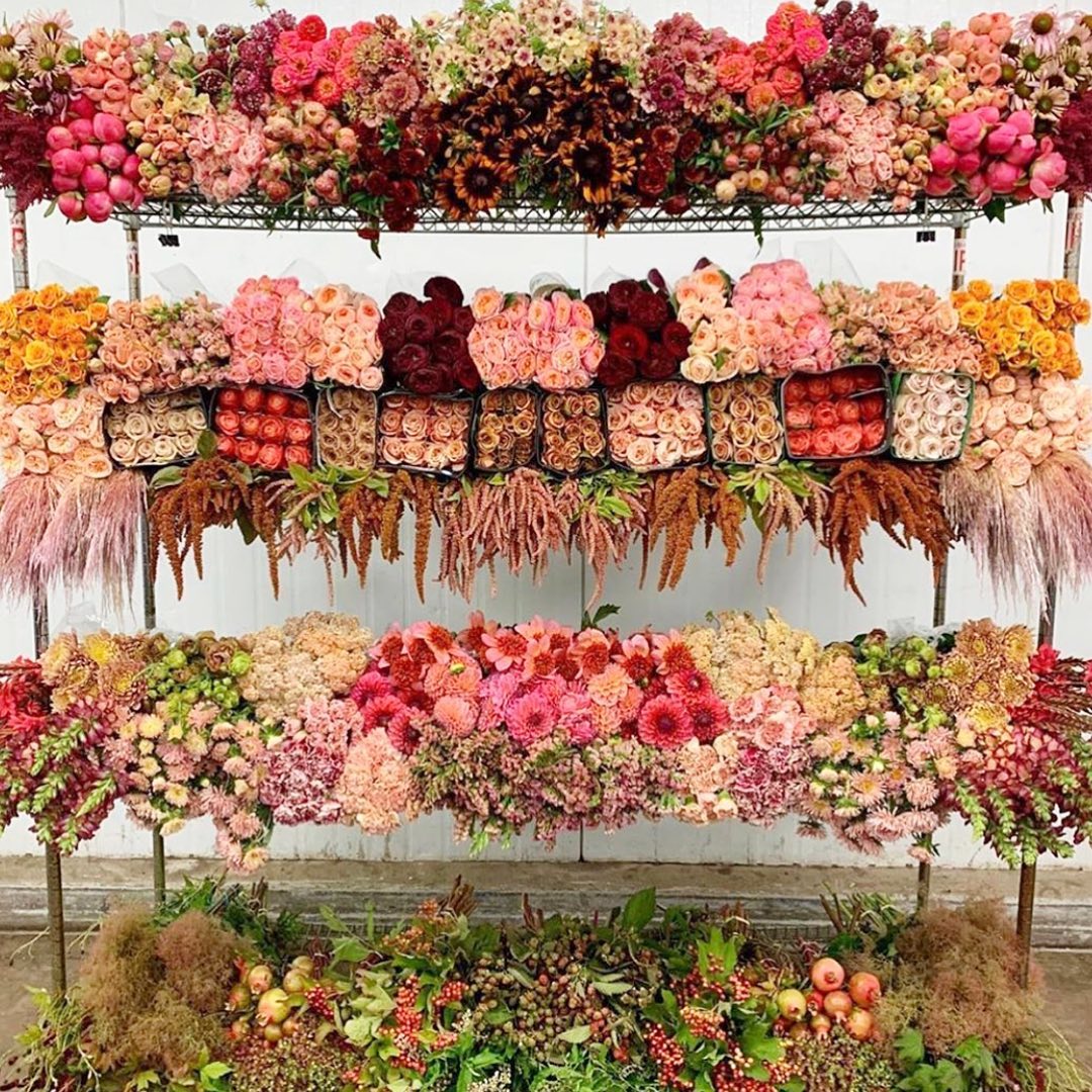 Ode a la Rose Flowers Review - Must Read This Before Buying