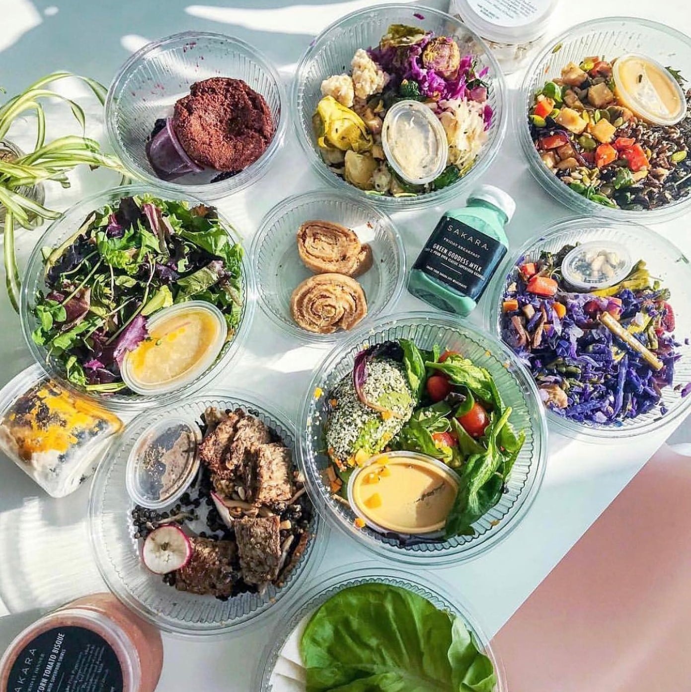 Sakara Life Review - Must Read This Before Buying