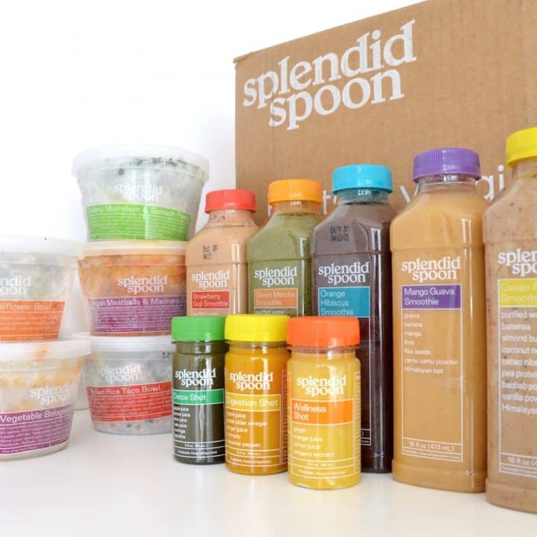 Splendid Spoon Review - Must Read This Before Buying