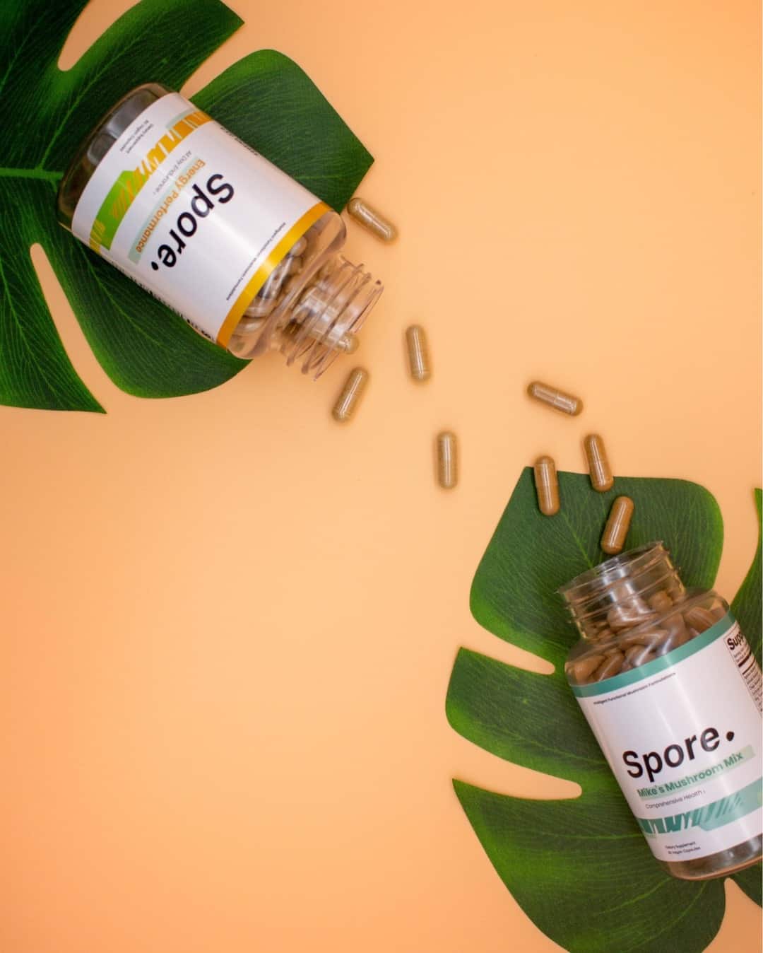 Spore Life Sciences Review - Must Read This Before Buying