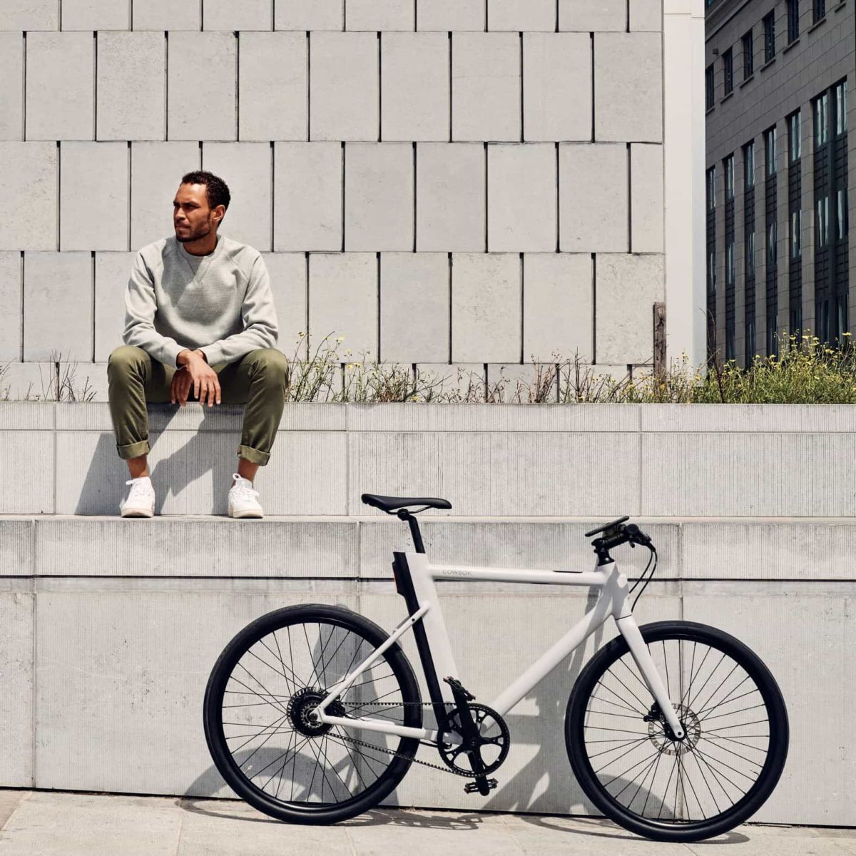 Cowboy Bikes Review - Must Read This Before Buying