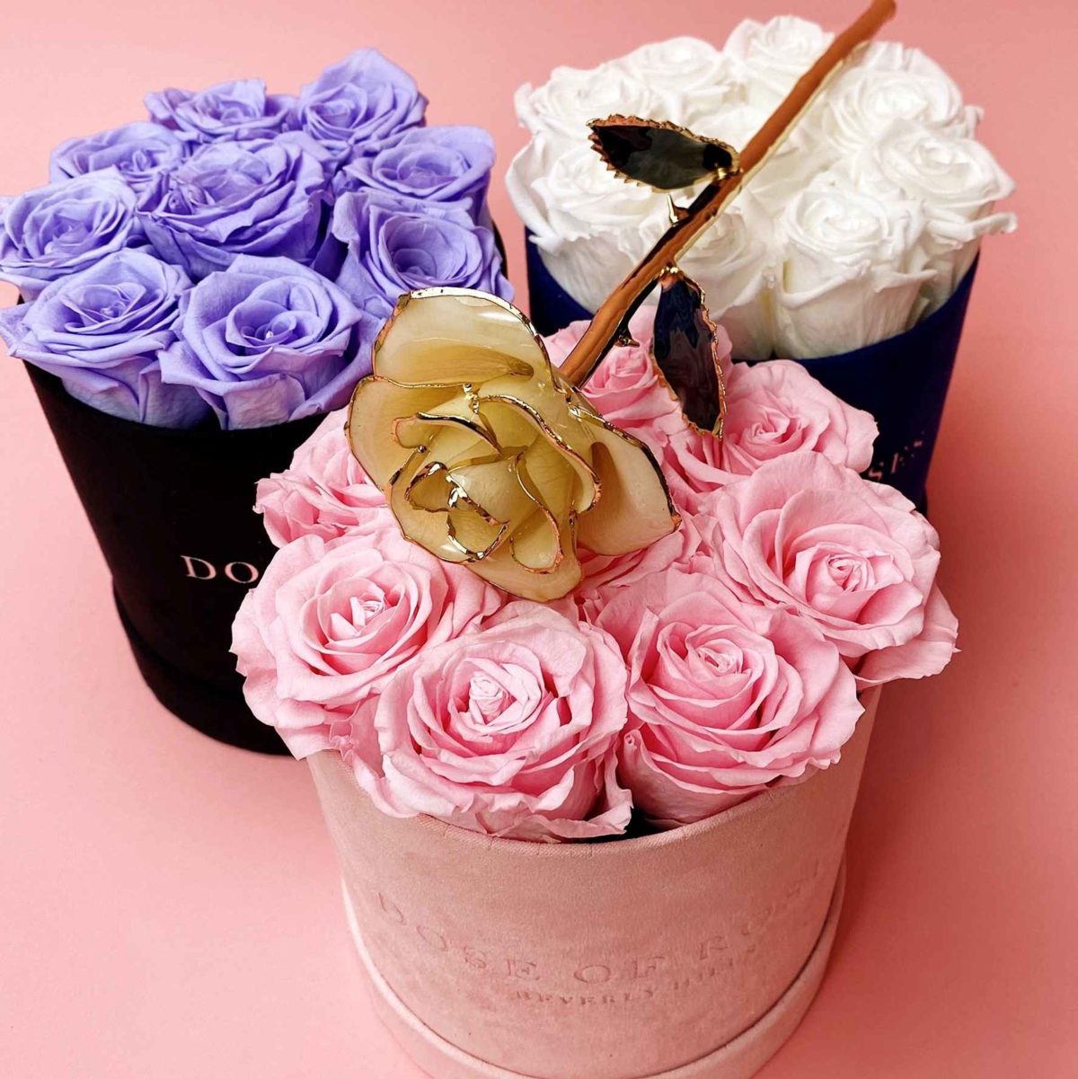 Dose of Roses Flowers Review - Must Read This Before Buying