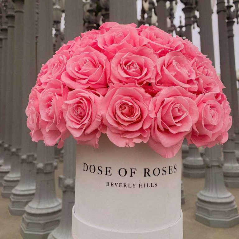 Dose of Roses Flowers Review - Must Read This Before Buying
