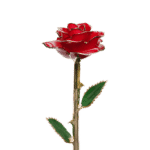 Dose of Roses Flowers Review - Must Read This Before Buying