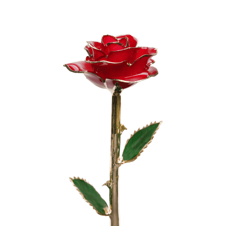 Dose of Roses Flowers Review - Must Read This Before Buying