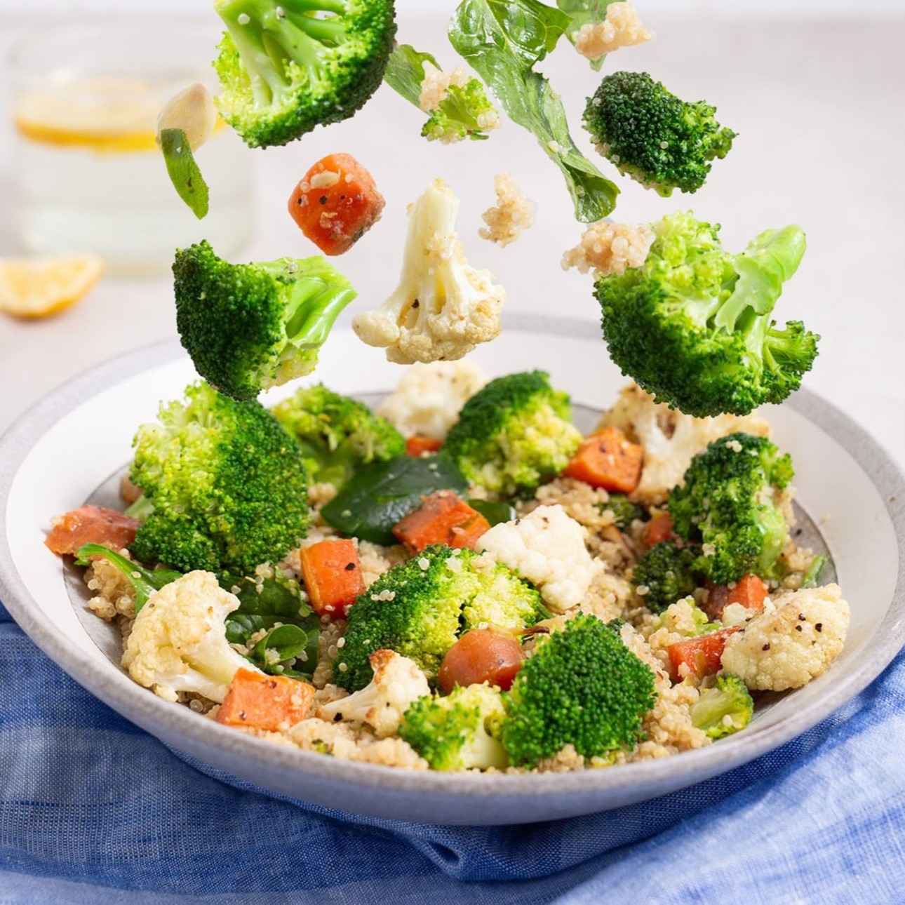 Fresh N' Lean Review - Must Read This Before Buying