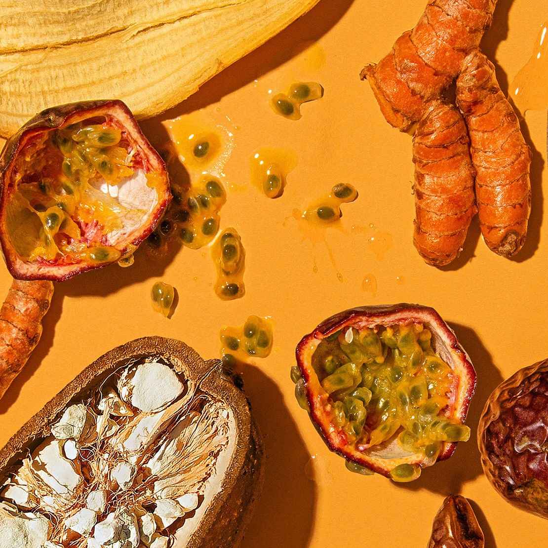 Kencko Review - Must Read This Before Buying