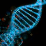 Nebula Genomics Review - Must Read This Before Buying
