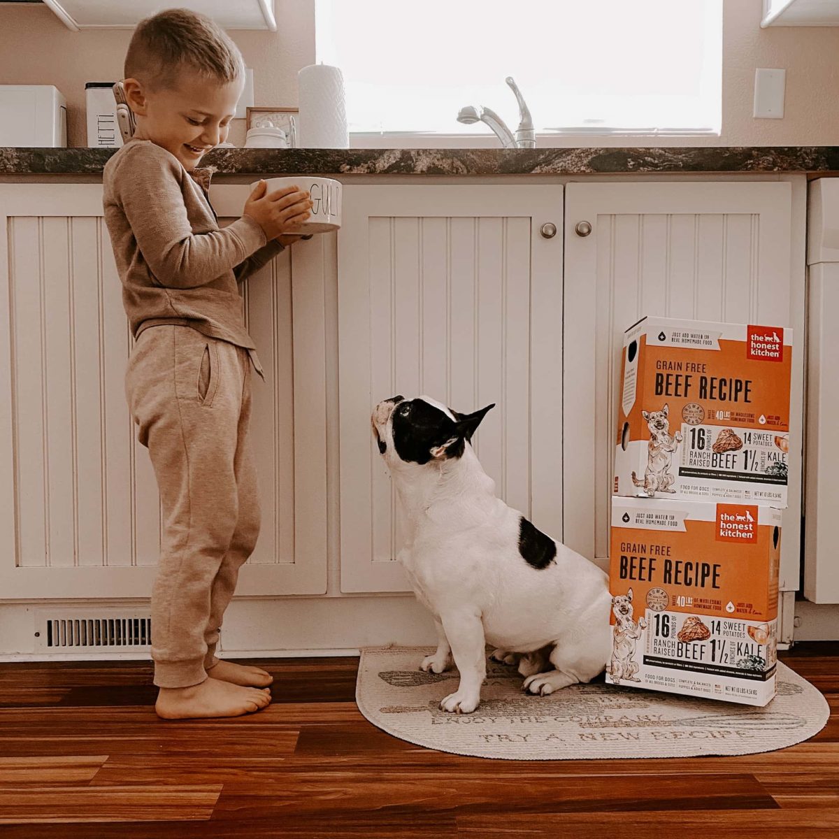 The Honest Kitchen Dog Food Review - Must Read This Before Buying