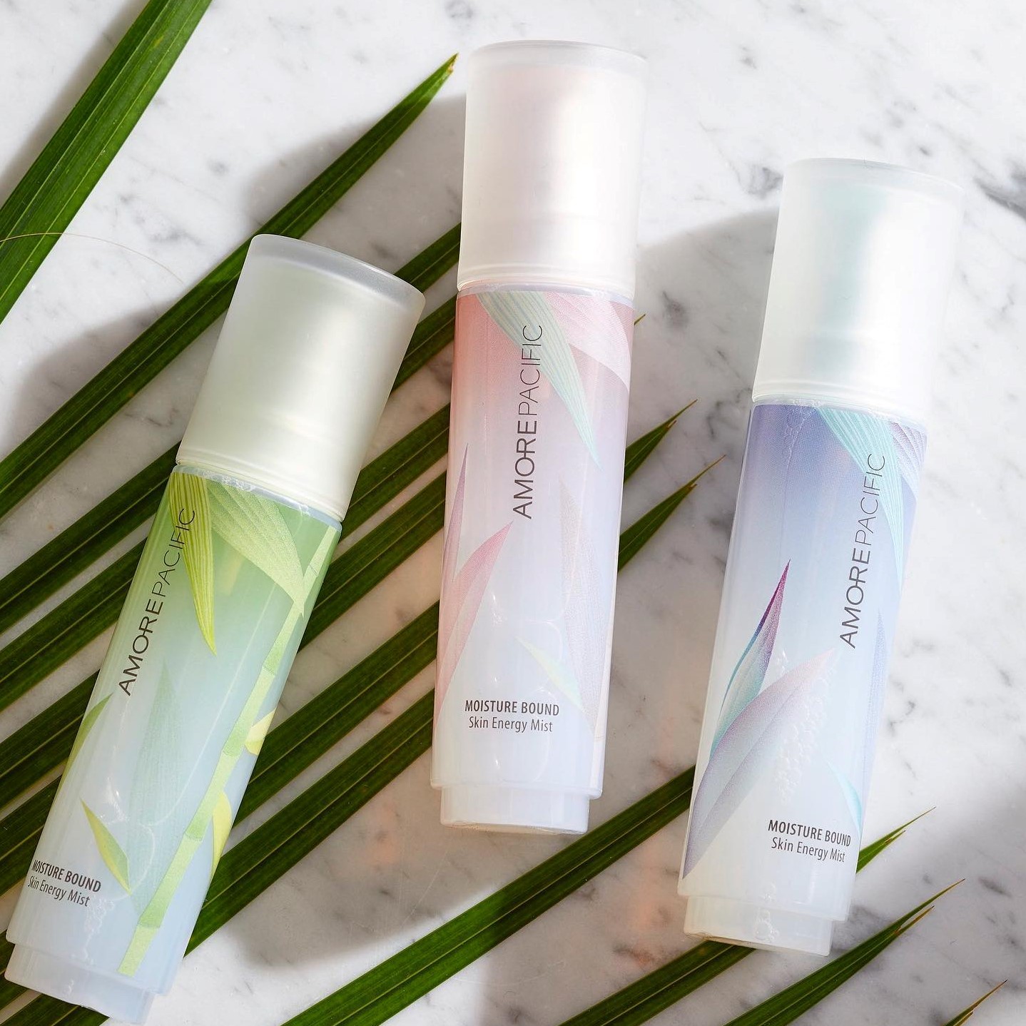 Amorepacific Skincare Review - Must Read This Before Buying