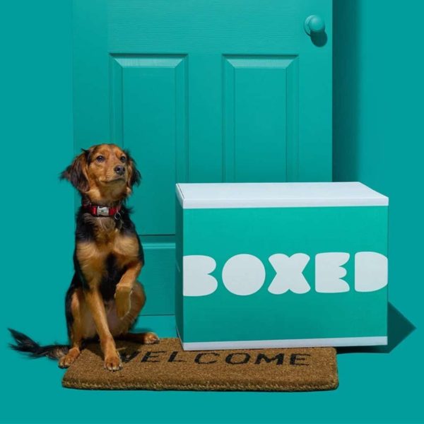 Boxed Review - Must Read This Before Buying