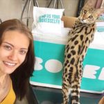 Boxed Review - Must Read This Before Buying