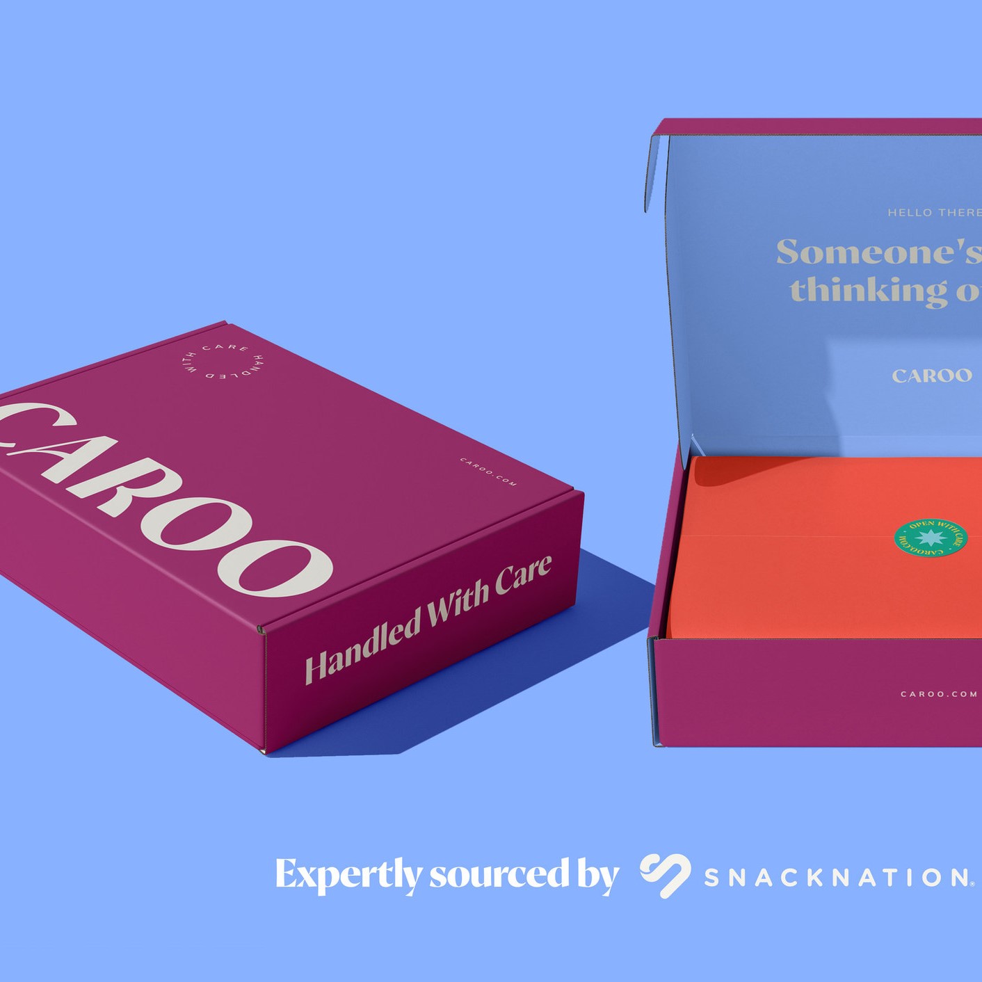 Caroo Review - Must Read This Before Buying