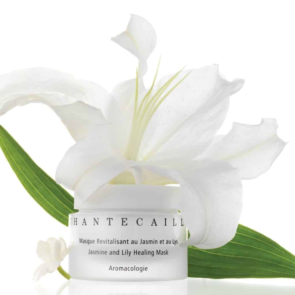 Chantecaille Makeup Review - Must Read This Before Buying