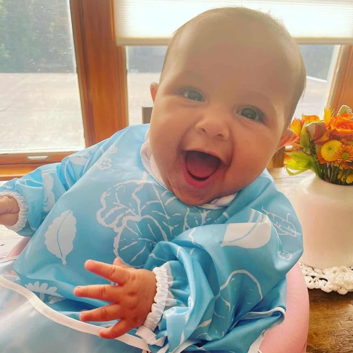 Hello Yumi Baby Food Review - Must Read This Before Buying