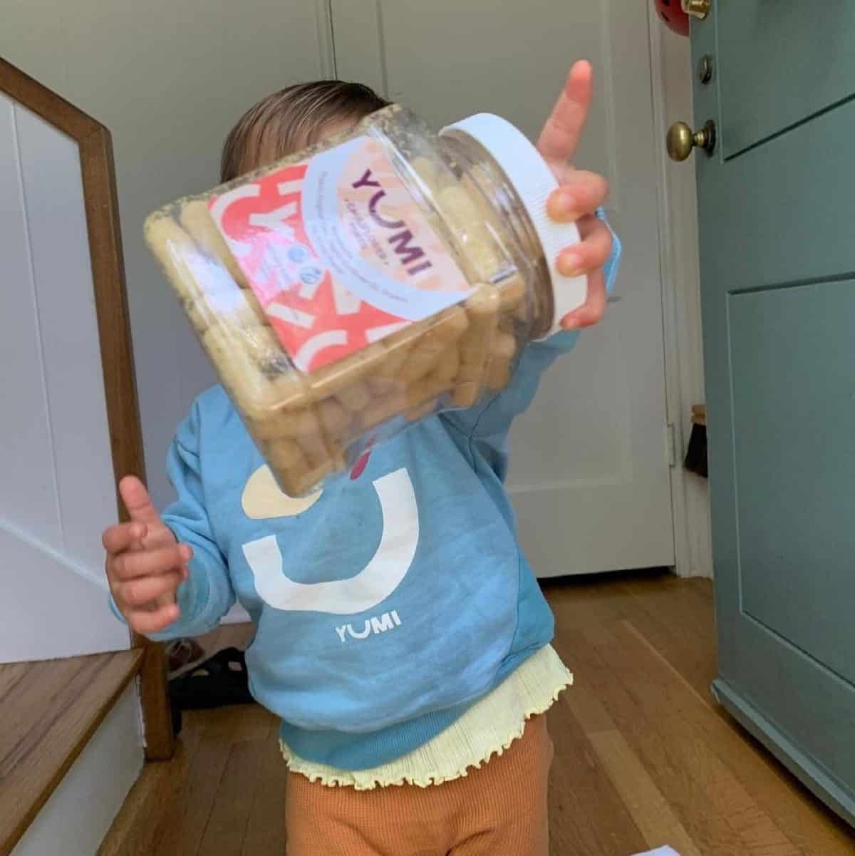 Hello Yumi Baby Food Review - Must Read This Before Buying