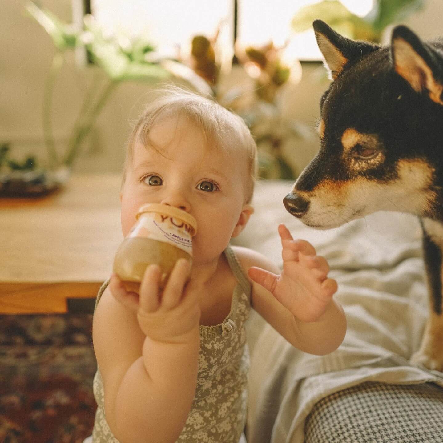 Hello Yumi Baby Food Review - Must Read This Before Buying