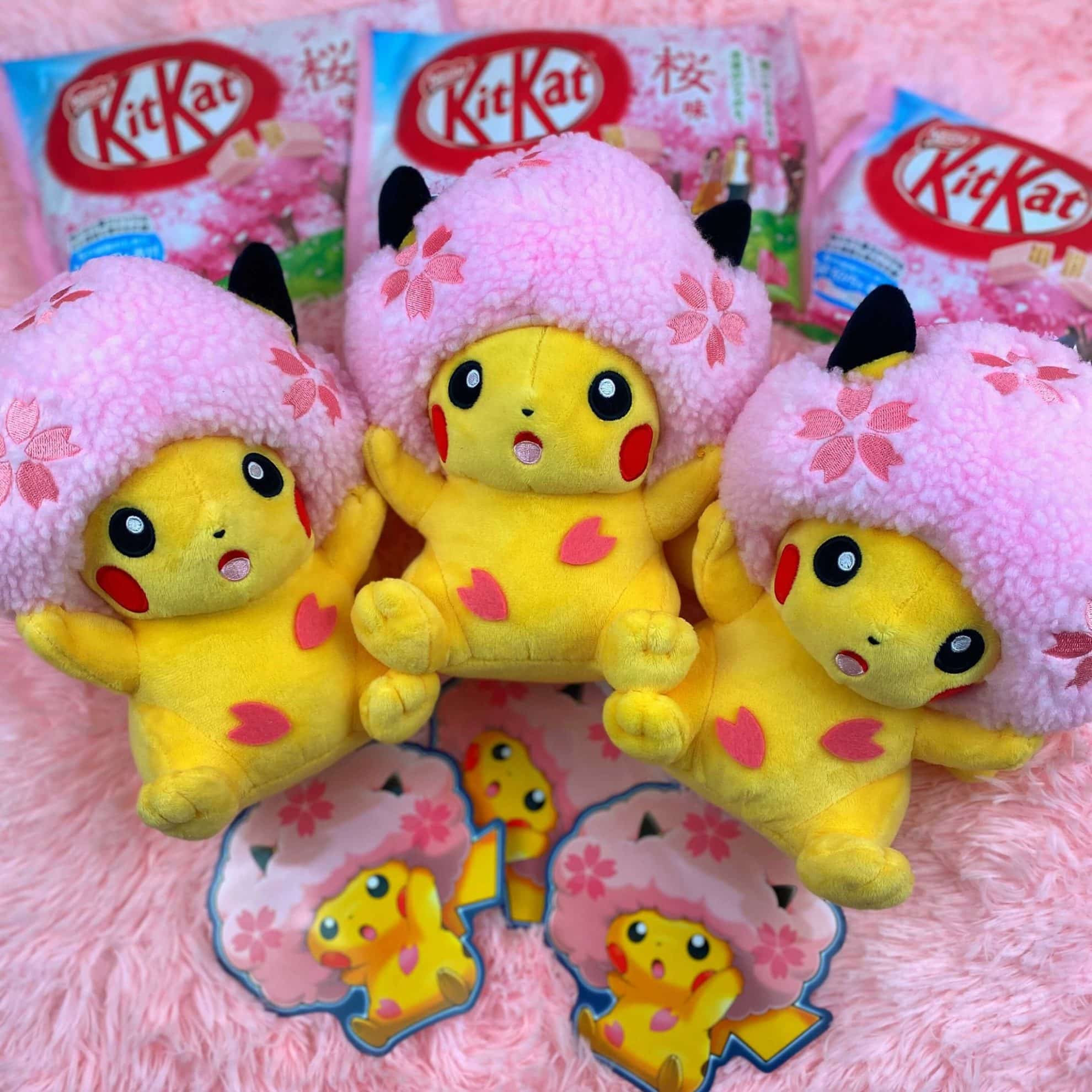 Japan Crate Review - Must Read This Before Buying