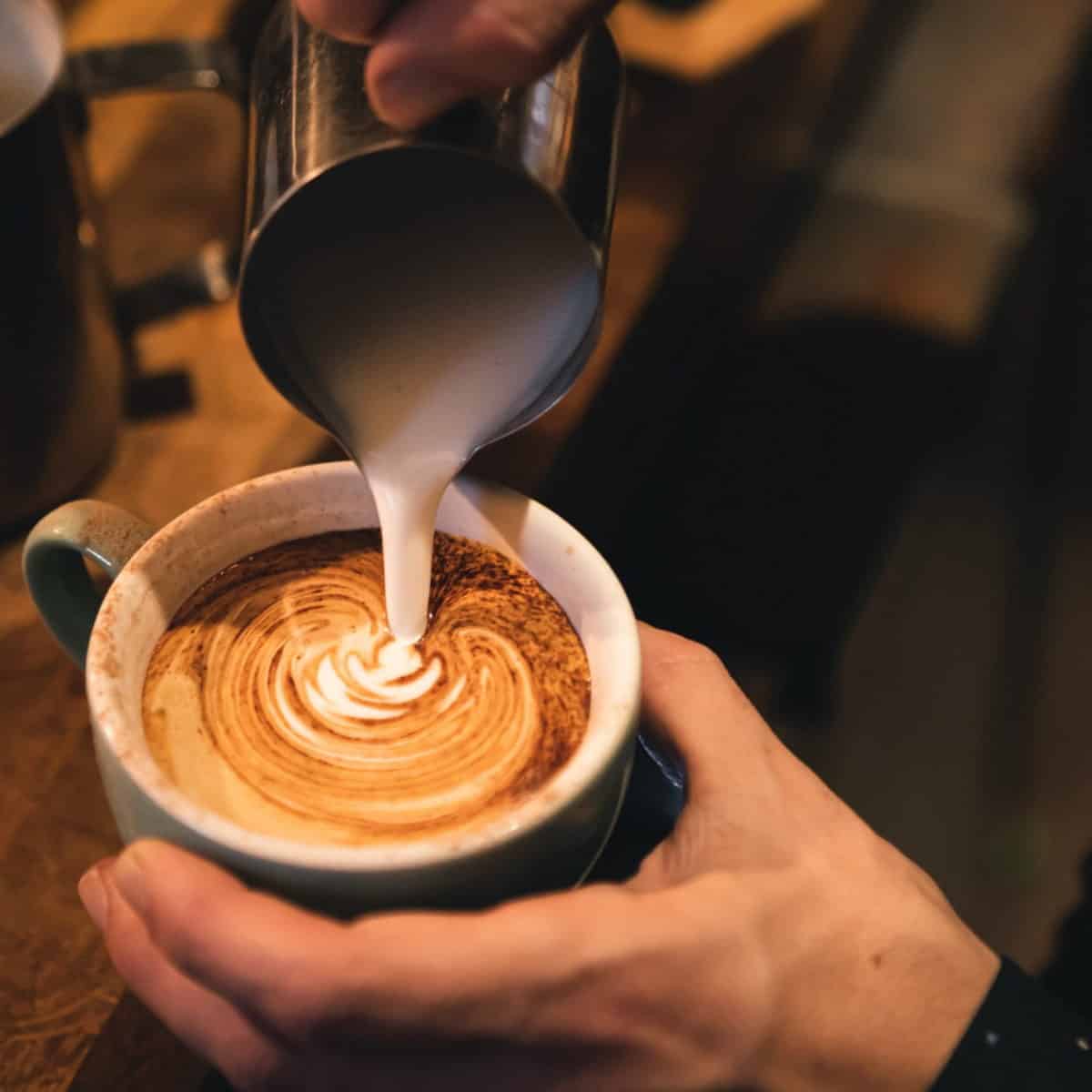 MUDWTR Review - Must Read This Before Buying