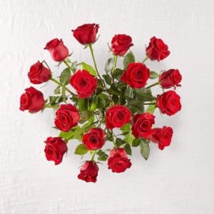 ProFlowers Review - Must Read This Before Buying