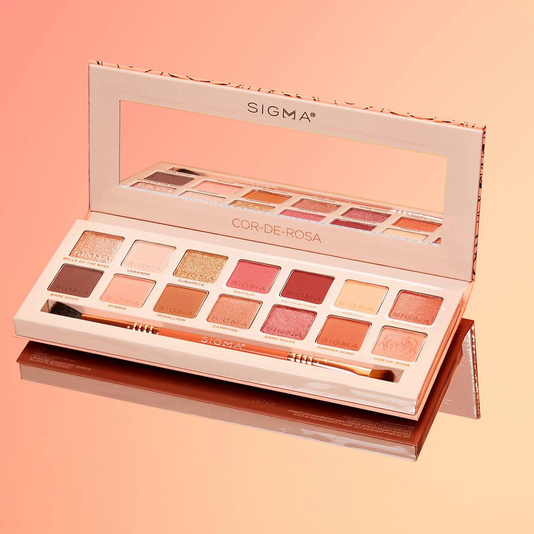 Sigma Beauty Review - Must Read This Before Buying
