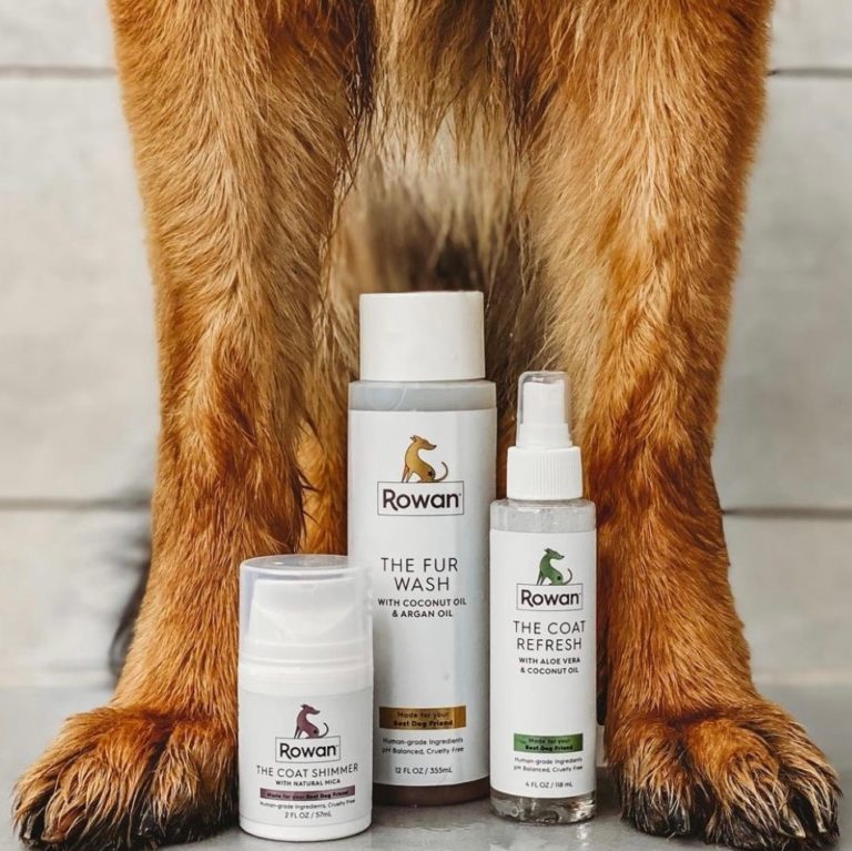 Rowan For Dogs Review - Must Read This Before Buying