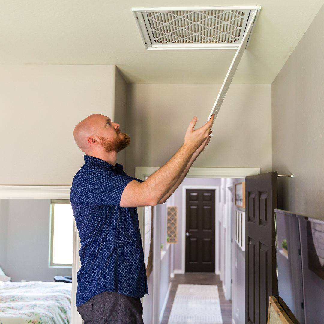 Second Nature Filters Review - Must Read This Before Buying