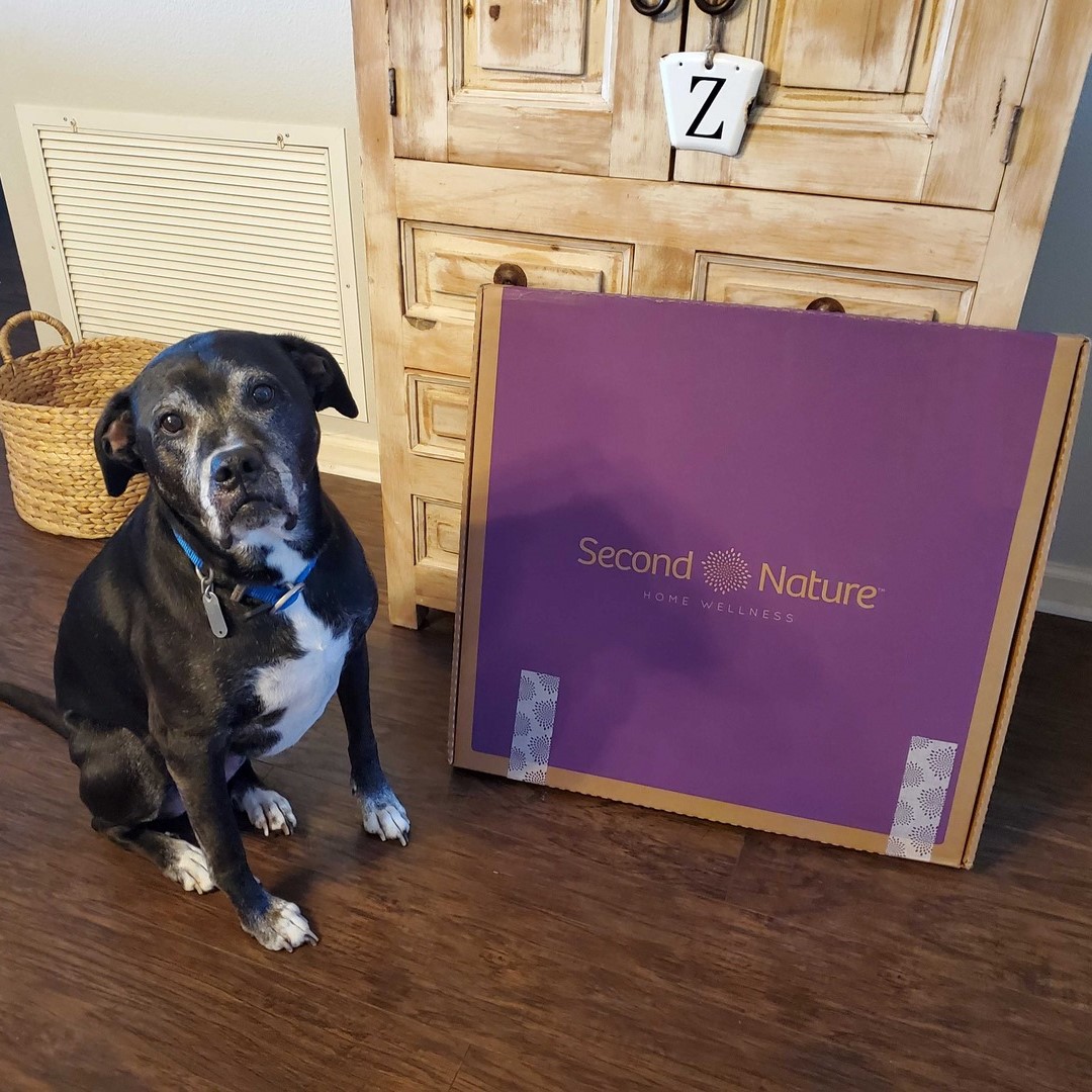 Second Nature Filters Review - Must Read This Before Buying