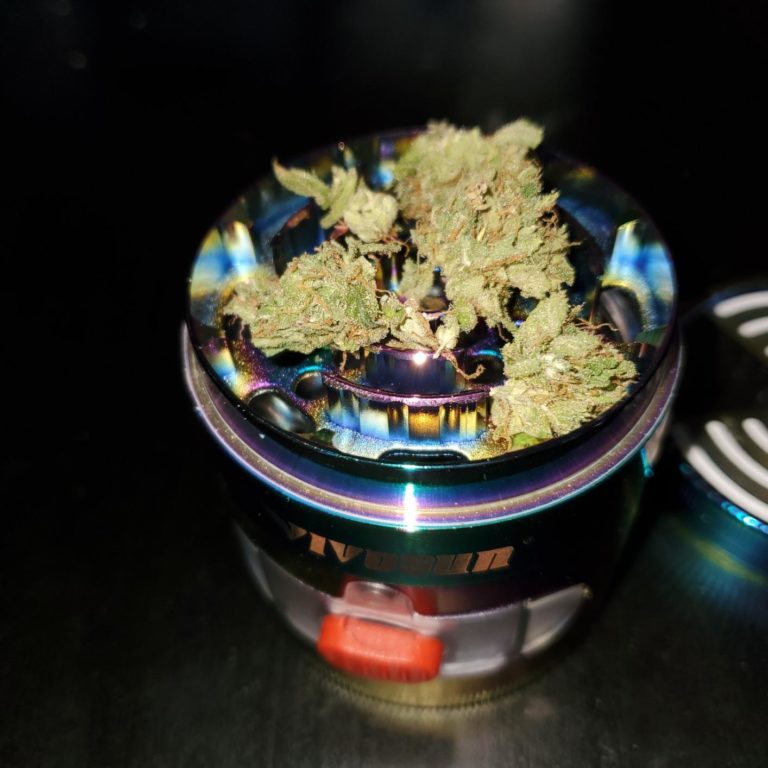 Vivosun Grow Tent Review - Must Read This Before Buying