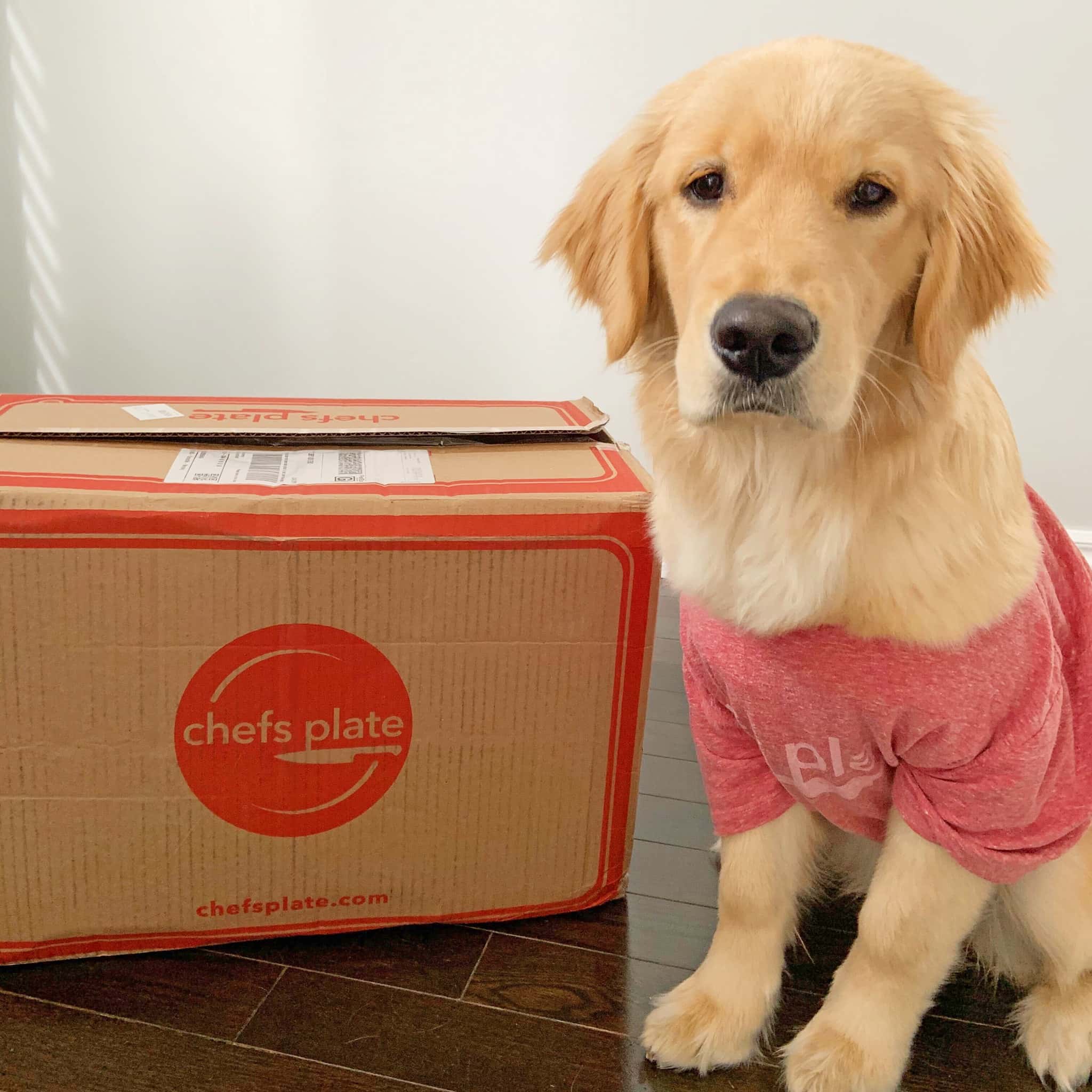 Chefs Plate Review - Must Read This Before Buying