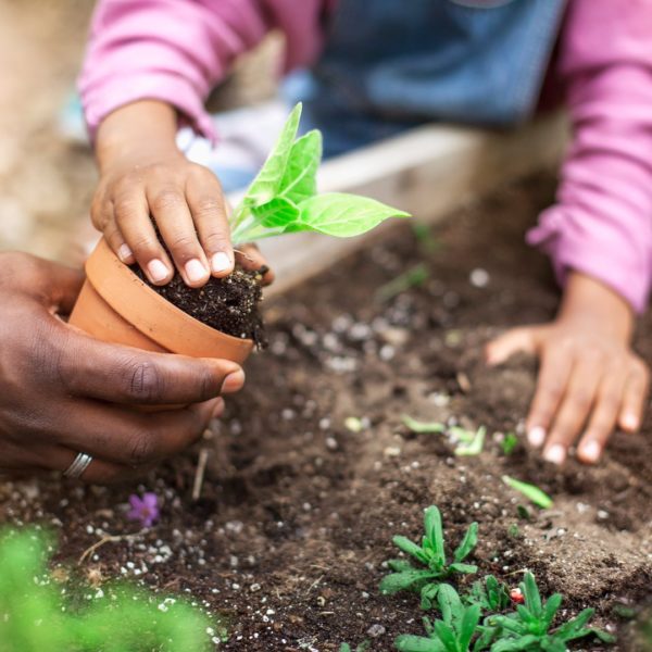 Garden Goods Direct Review - Must Read This Before Buying